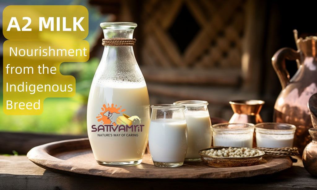 A2 MILK Nourishment from the Indigenous Breed – sattvishtik
