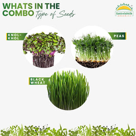 Buy Microgreen Seeds Online in India | Organic Microgreens Kits ...